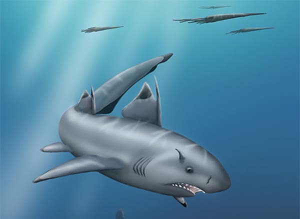 Hybodus
